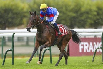 Lot 2 - PURPLEPAY - Vente Flash #3 - AUCTAV