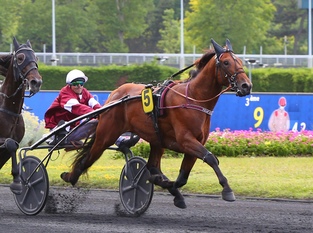 Lot 18 - JACK BARROW - Rouges Terres Sale 2024 - AUCTAV