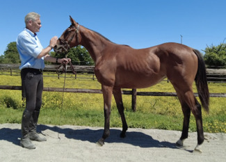 Lot 15 - PAQUES TOT - Catalogue Juin - AUCTAV